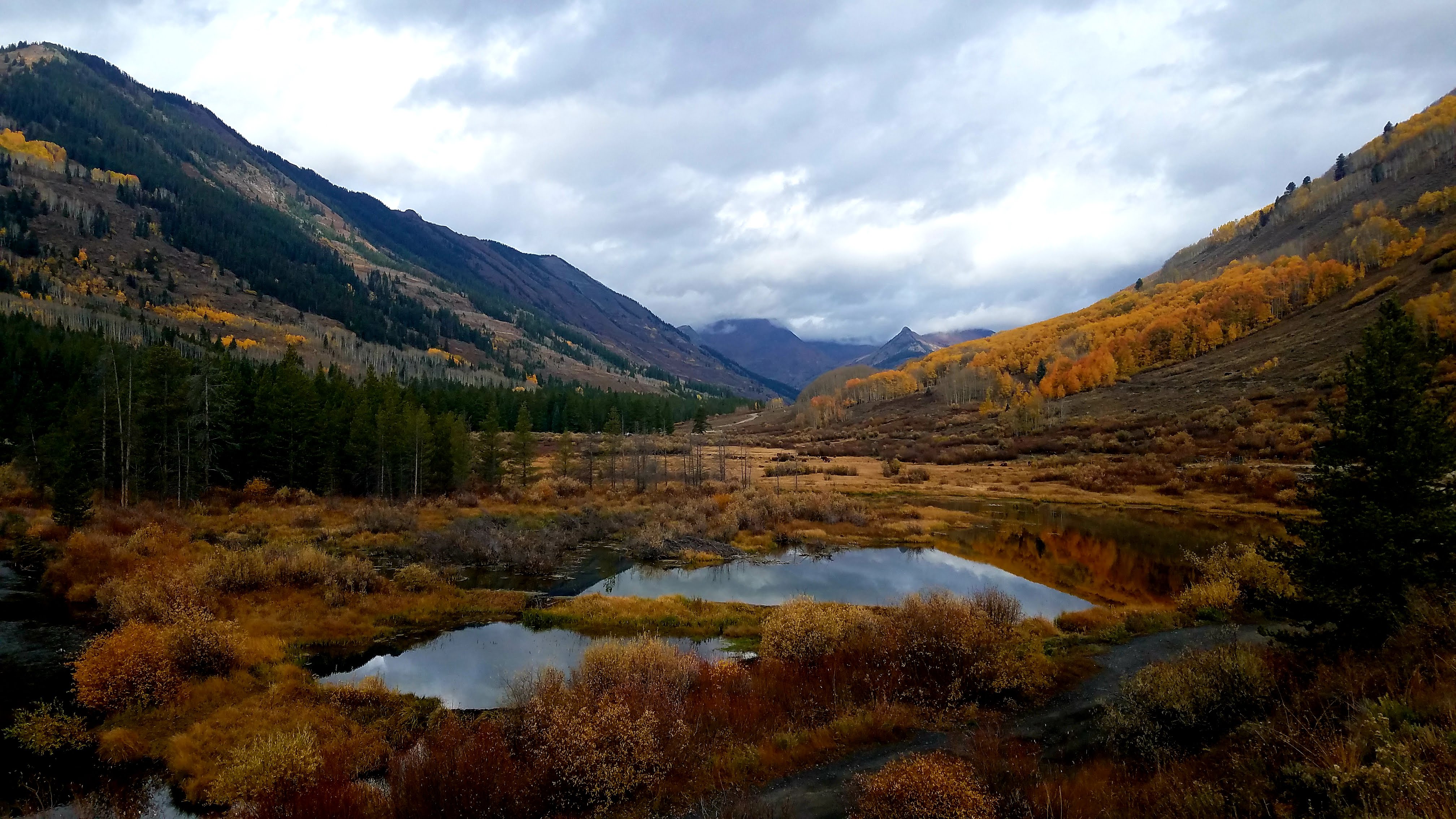 Biogeochemical cycling in high-elevation floodplains | Environmental ...